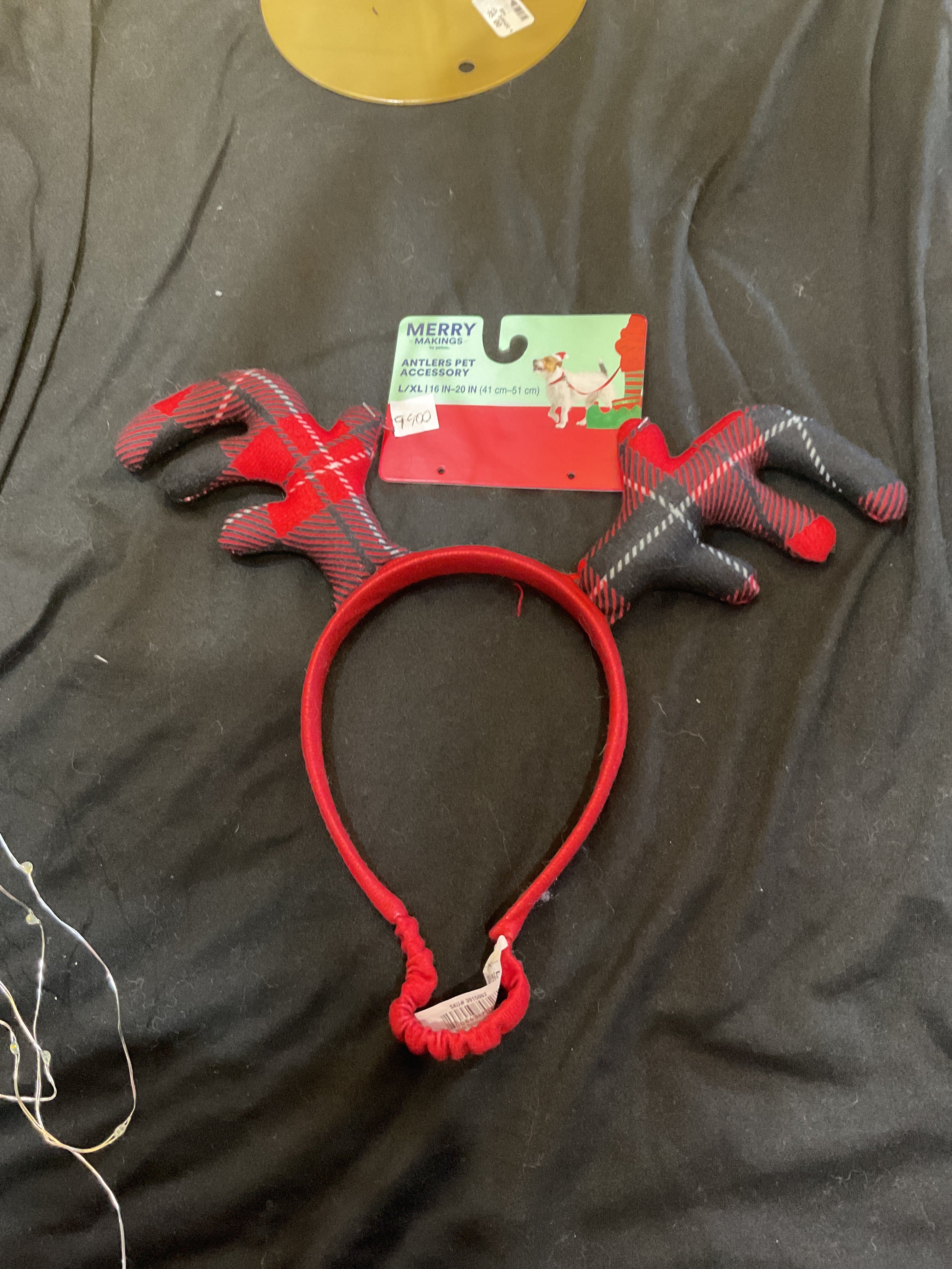 Orejas de reno – perrhijoscostarica